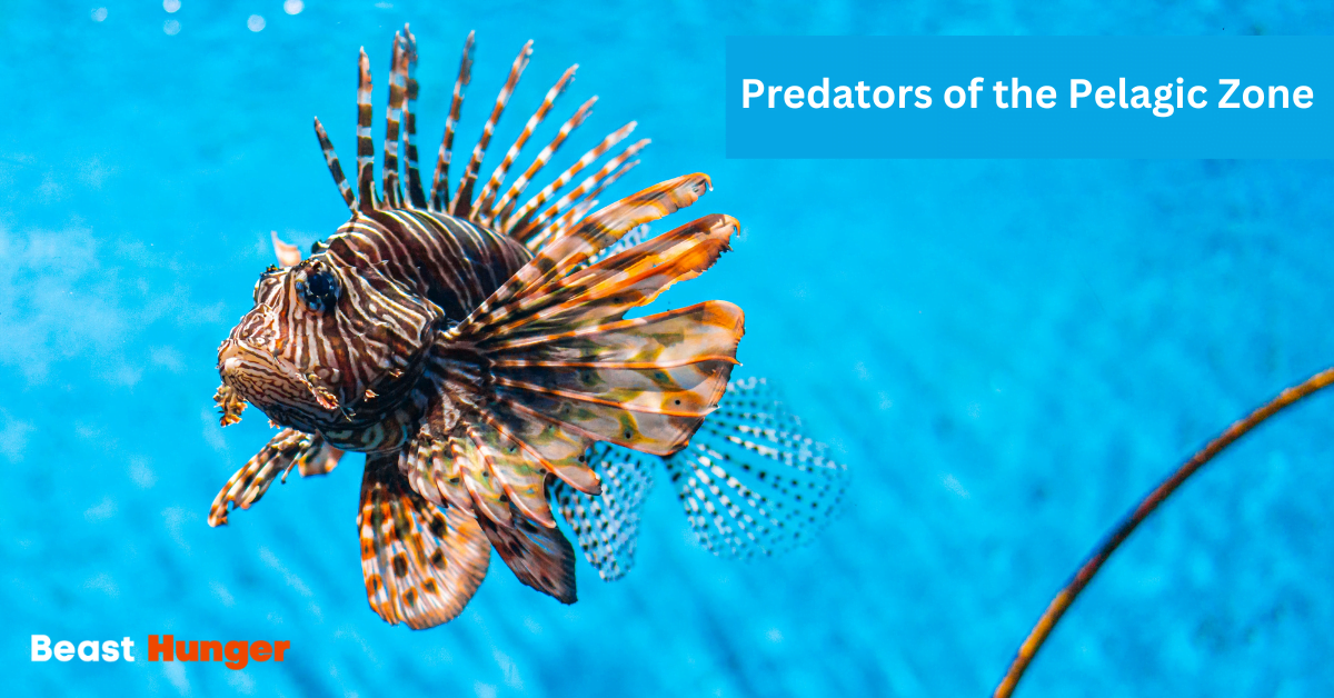 Sea Creatures That Drift 2024 - Beast Hunger